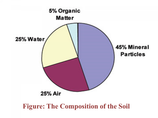 Definition of Soil | The Composition of Soil - Earth Review