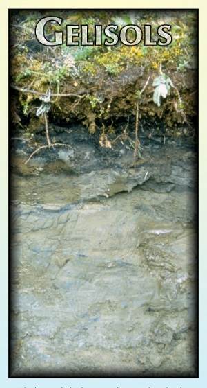 12 Soil Orders in Soil Taxonomy with Their Major Characteristics ...