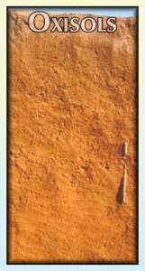 12 Soil Orders in Soil Taxonomy with Their Major Characteristics